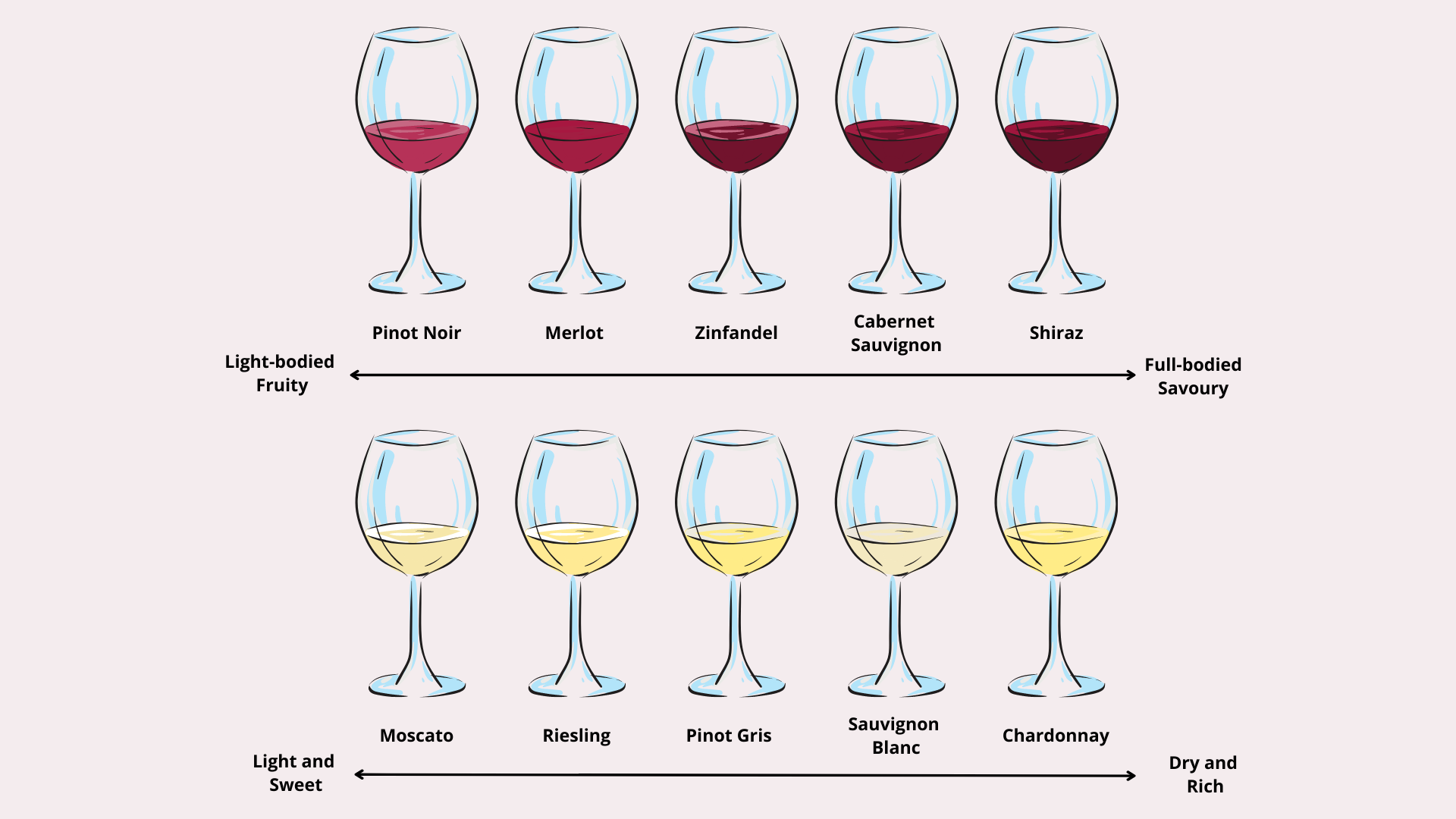 Know Your Wine - The Ultimate Basic Guide For All