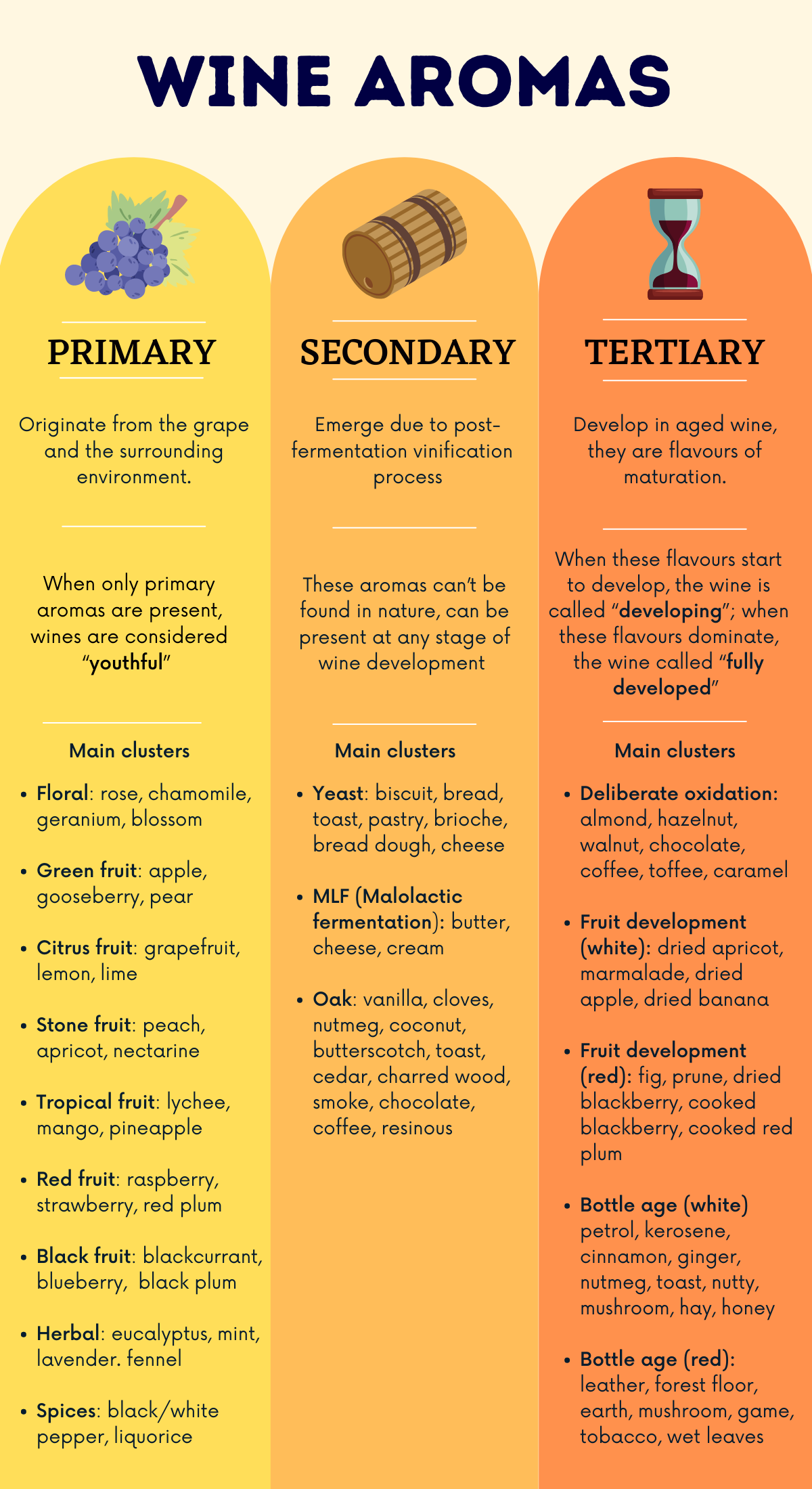 Know Your Wine - A Wine Tasting Guide - Politics Science News